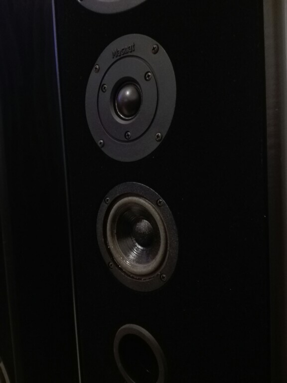 Magnat Vector 6 - 7288640730 - oficjalne archiwum Allegro