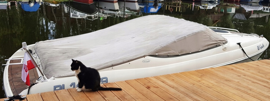 Stingray 190CS łodź motorowa ładna praktyczna - 7490772728 - oficjalne ...